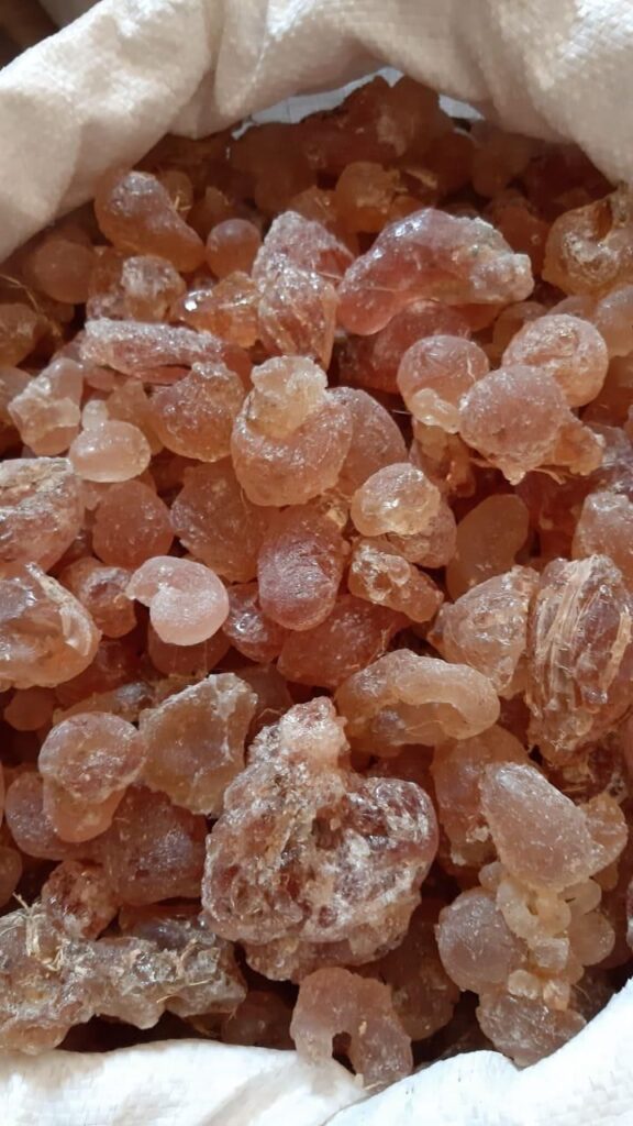 Gum Arabic Export - GOODMIMI DIVINE LIMITED